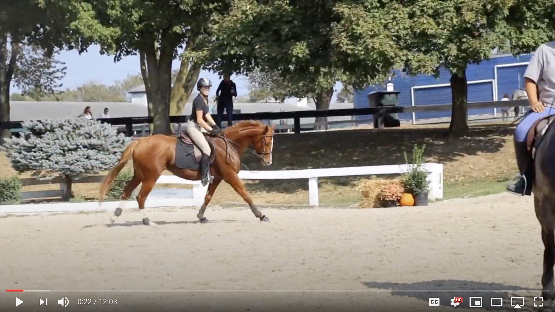 Stories - Offshore Acres