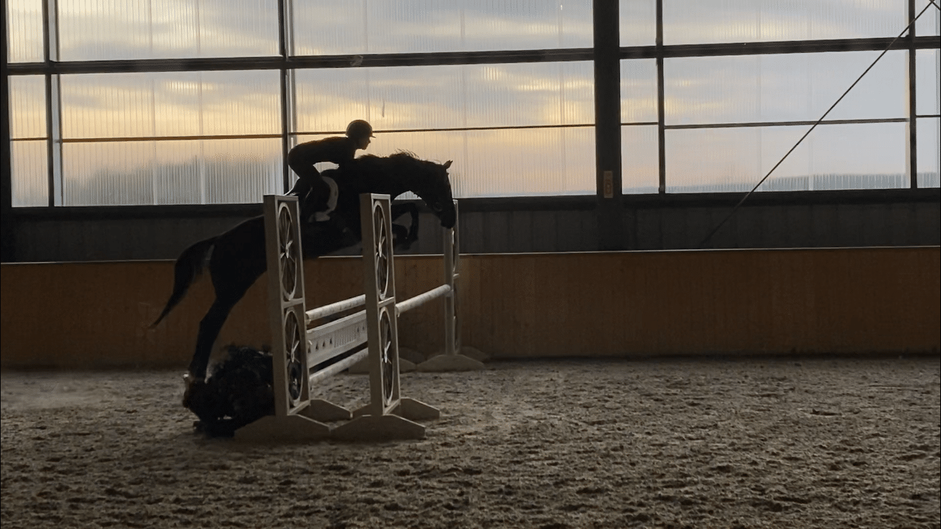 Caledon Equestrian Park Schooling Day - Offshore Acres