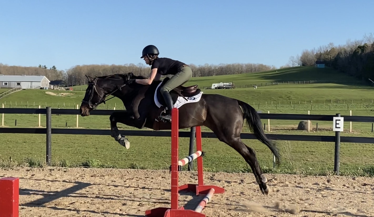 Horse Sport - Offshore Acres